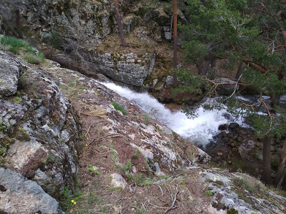 Pinar de Navafría , río Cega y Cascada del Chorro