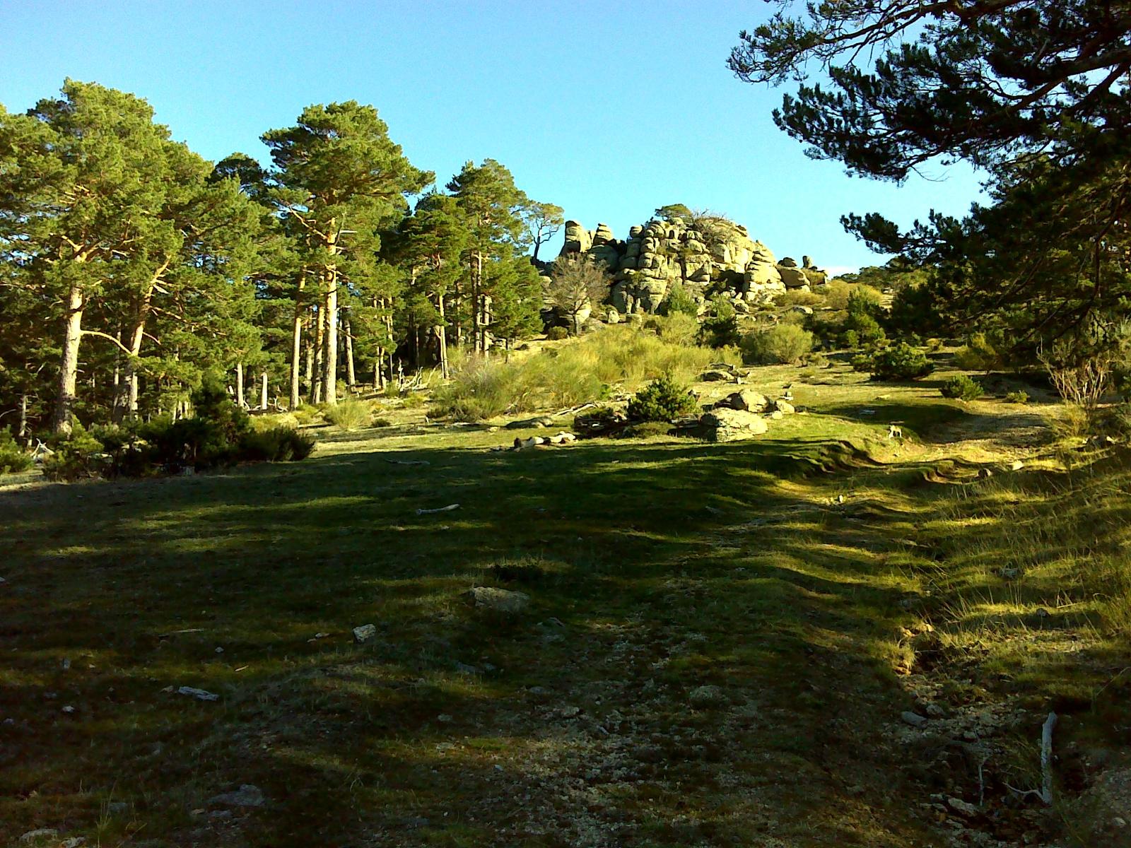 Collado – Sendas y Cumbres