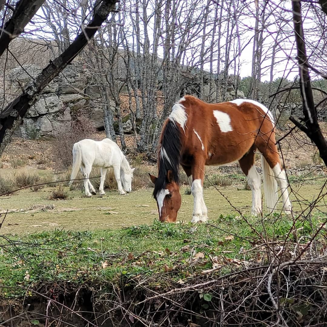 Collado y Valle Hermoso – Sendas y Cumbres