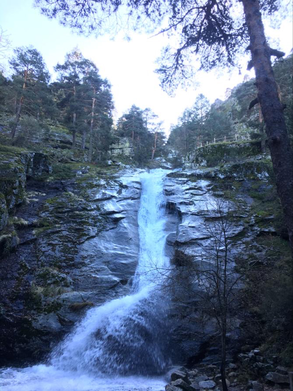 Pinar de Navafría , río Cega y Cascada del Chorro